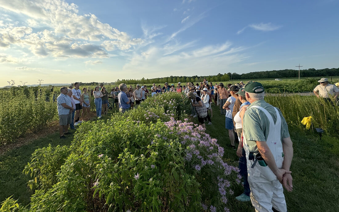 KU medicinal garden to host tour on the summer solstice, highlighting ...
